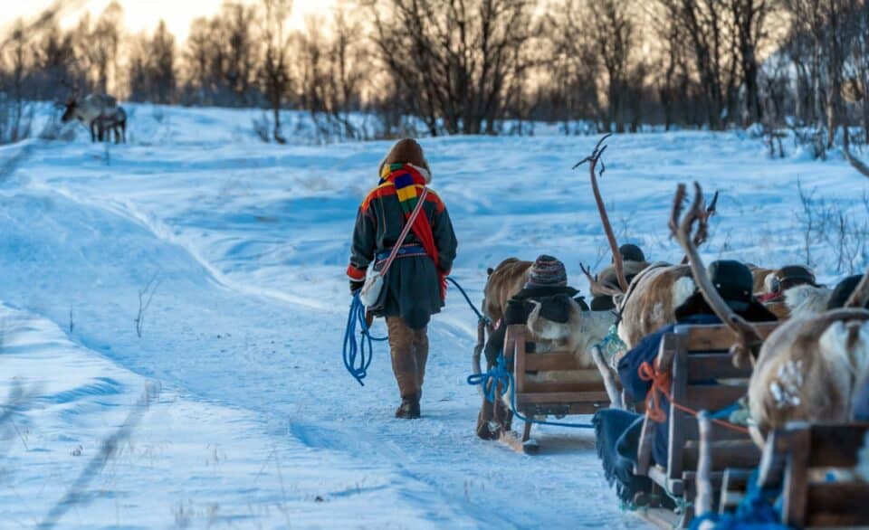 A Snowy Sami Reindeer Experience in Tromso, Norway
