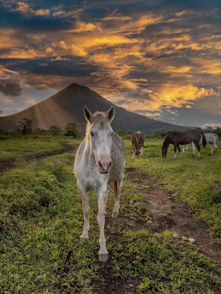 Two Days in Arenal, Costa Rica - A Perfect Arenal Itinerary