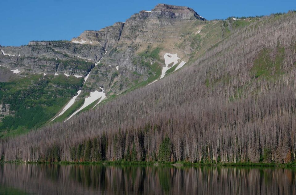 11 Best Hikes in Waterton Lakes National Park — The Discoveries Of