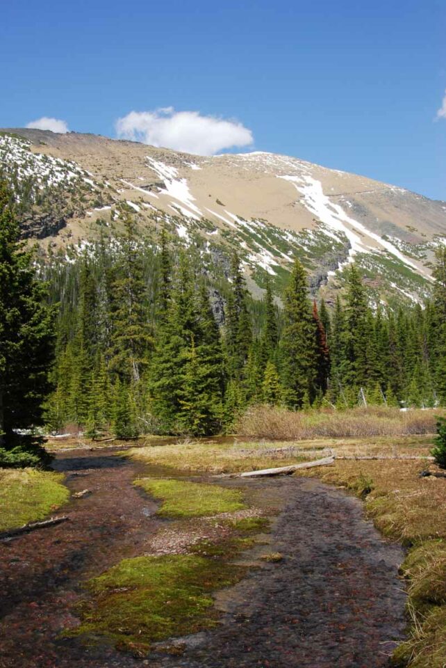 11 Best Hikes in Waterton Lakes National Park — The Discoveries Of