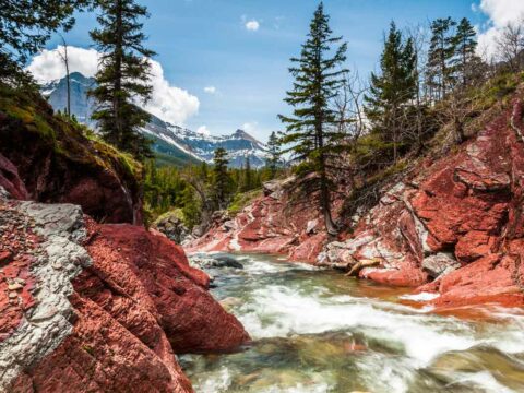 11 Best Hikes in Waterton Lakes National Park — The Discoveries Of