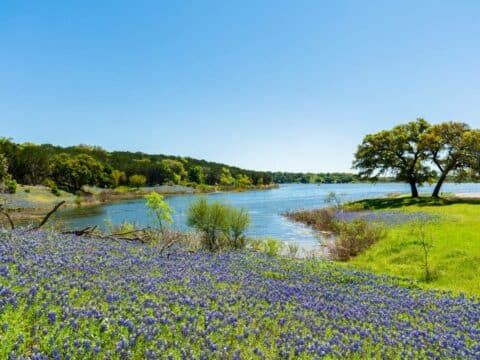 12 Colorful Spring Destinations in the United States