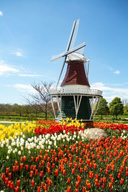 12 Colorful Spring Destinations in the United States