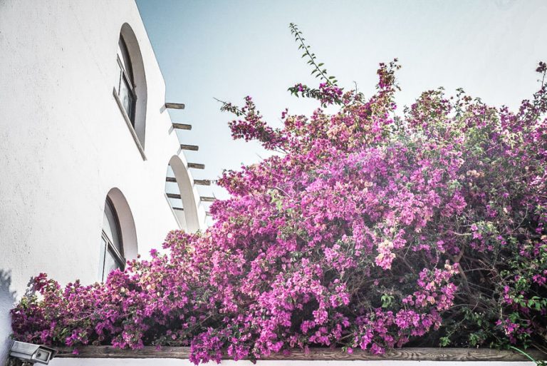 Unmissable Things to do in Mojácar, Spain – The Discoveries Of.