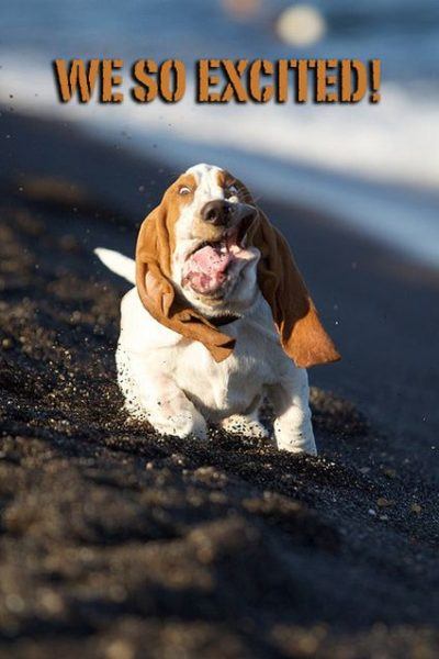 55 Funny Travel + Vacation Memes: Most Popular Travel Memes of 2021