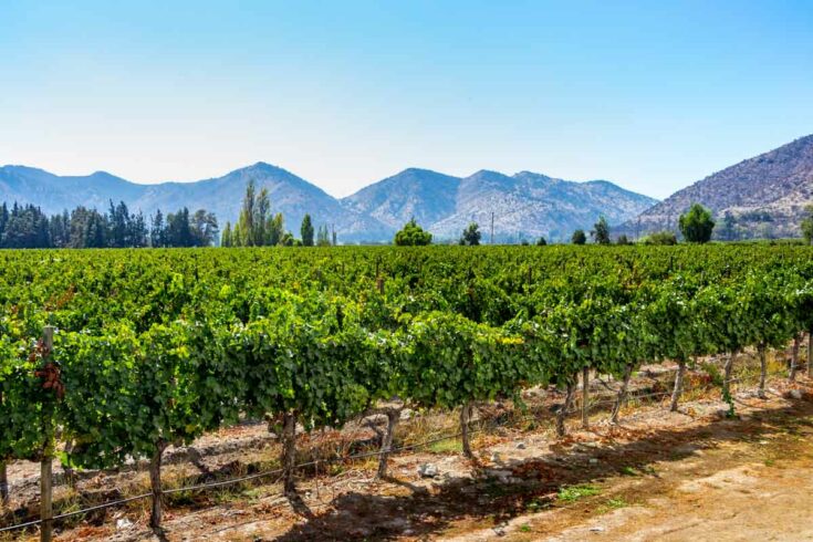 9 Unforgettable Day Trips from Santiago, Chile — The Discoveries Of