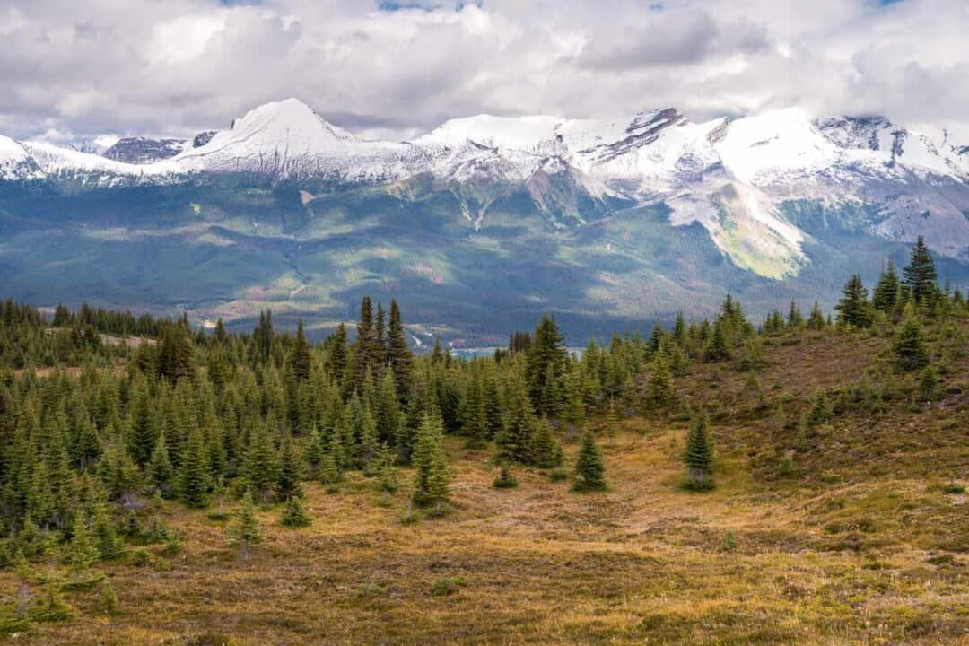 17 Best Things to Do in Jasper National Park — The Discoveries Of