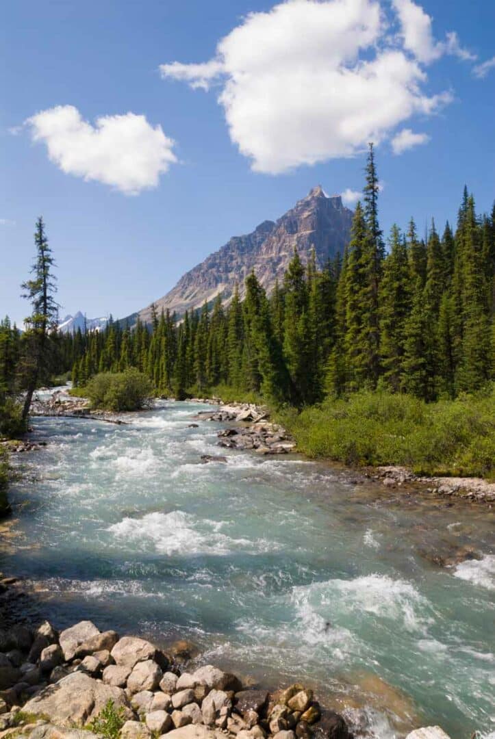 17 Best Things to Do in Jasper National Park — The Discoveries Of