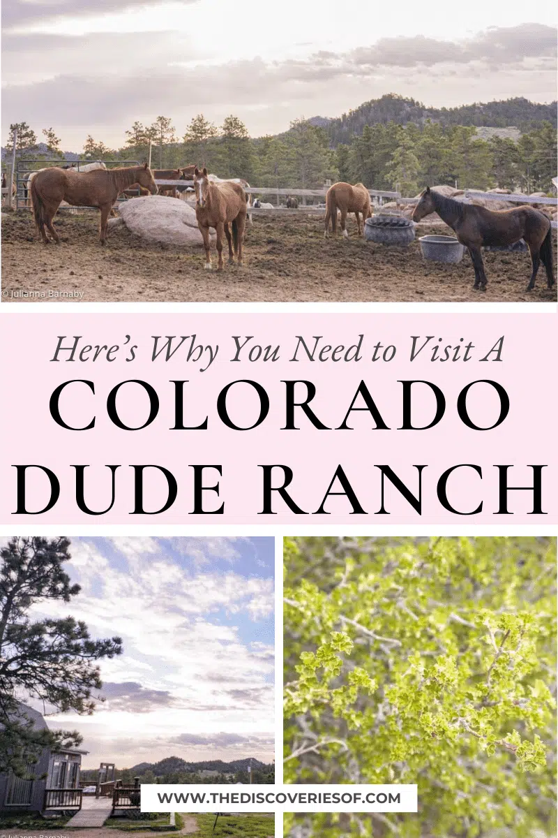 Dude Ranch Holidays: What You Need to Know Before You Go — The ...