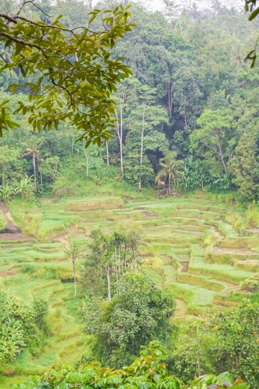 12 Stunning Hikes in Bali — The Discoveries Of