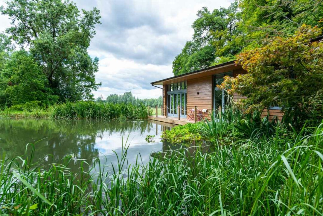 16 Brilliant Things To Do In The New Forest — The Discoveries Of