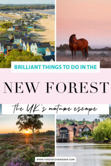 16 Brilliant Things To Do In The New Forest — The Discoveries Of