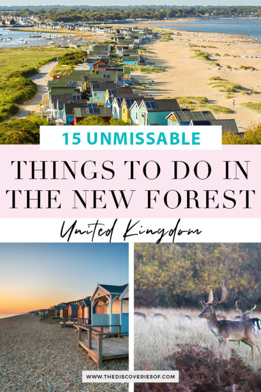 16 Brilliant Things To Do In The New Forest — The Discoveries Of
