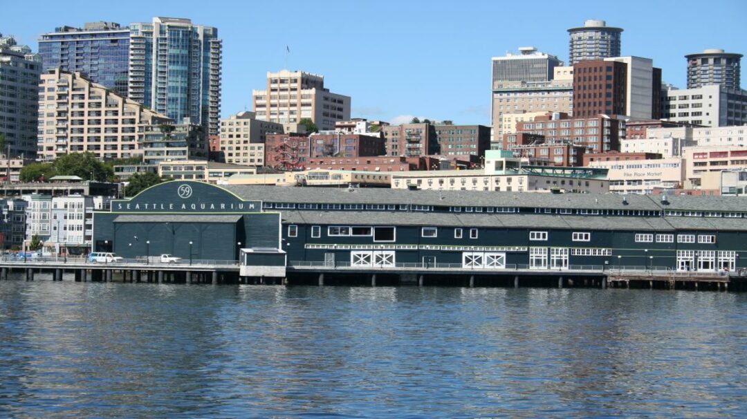 The Best Things To Do In Seattle — The Discoveries Of
