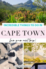 18 Unmissable Things to do in Cape Town — The Discoveries Of
