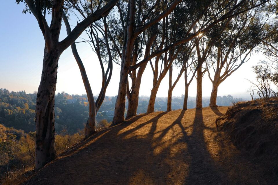 The Best Hikes in Los Angeles — The Discoveries Of