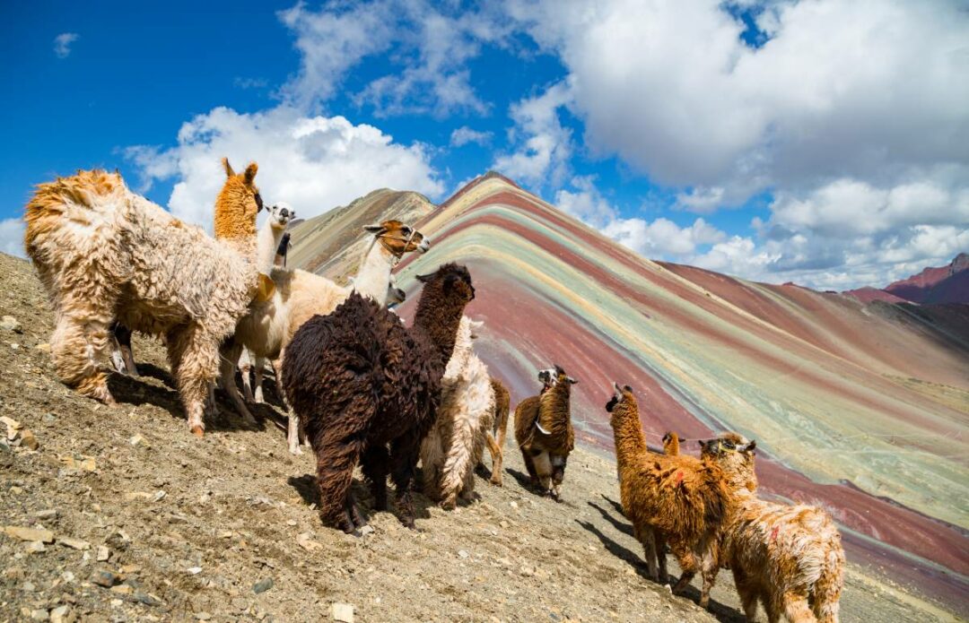 How To Visit The Rainbow Mountain in Peru — The Discoveries Of