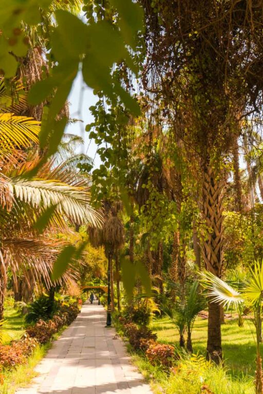 16 Brilliant Things to do in Aswan, Egypt — The Discoveries Of