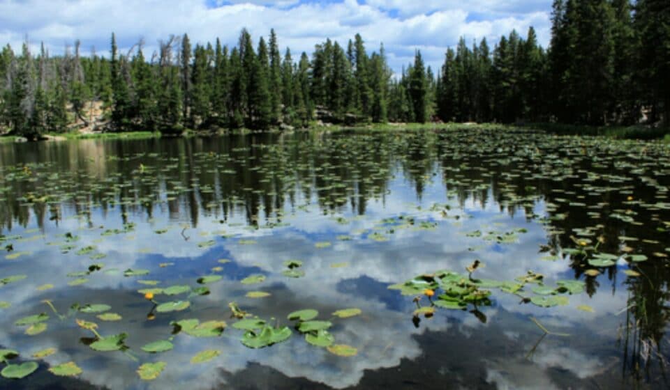 The Perfect 3 Day Rocky Mountain National Park Itinerary