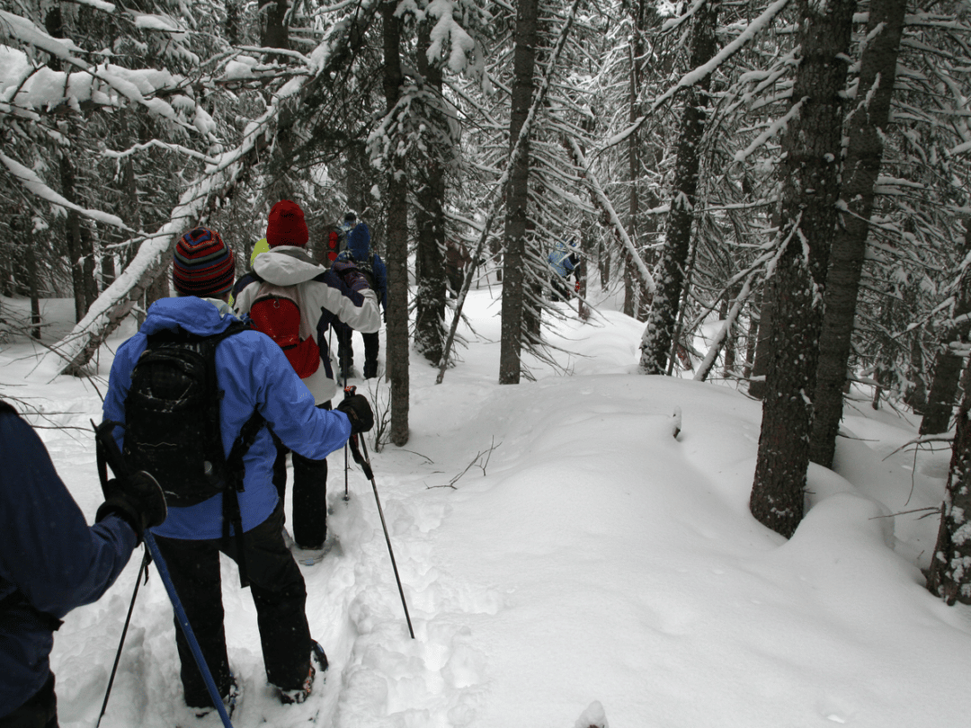The Best Things to do in Vail, Colorado