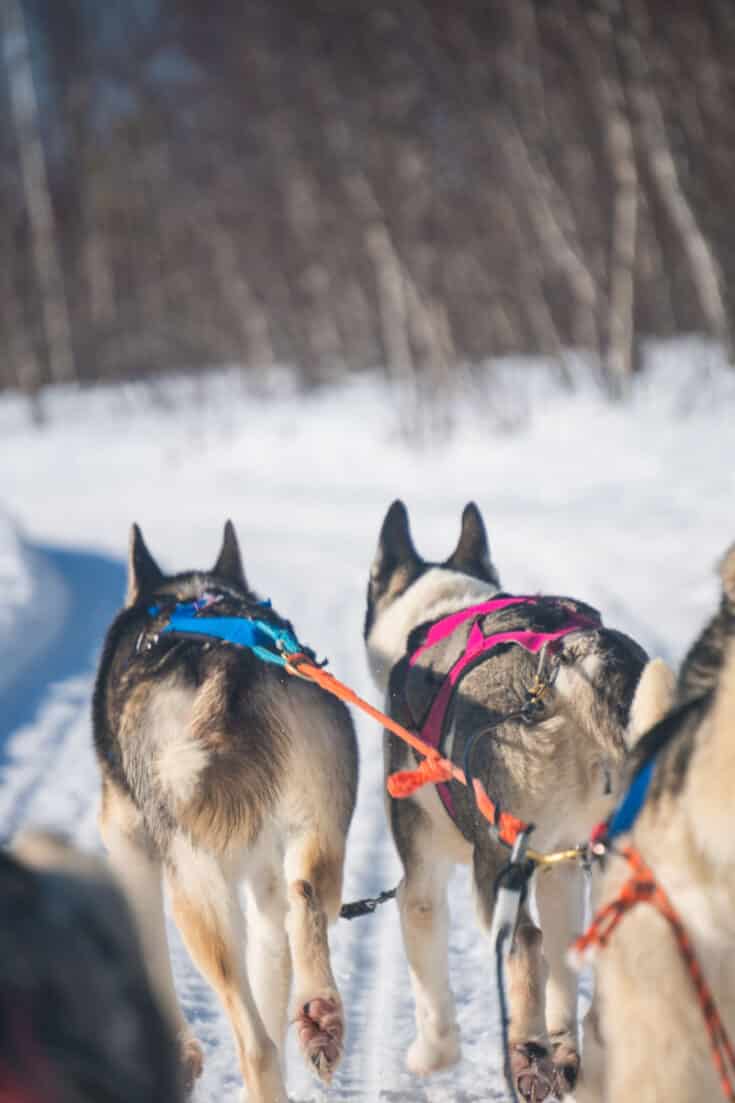 3 Days in Tromsø: The Perfect Tromsø Itinerary