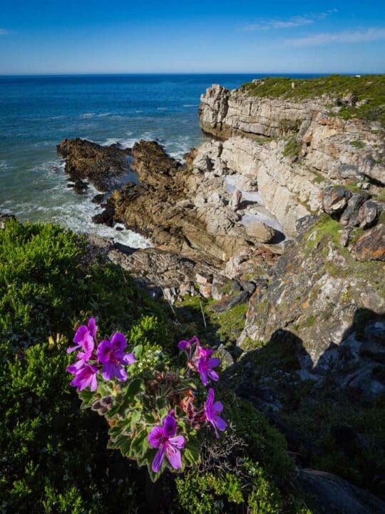 The Best Places to Travel in August — The Discoveries Of