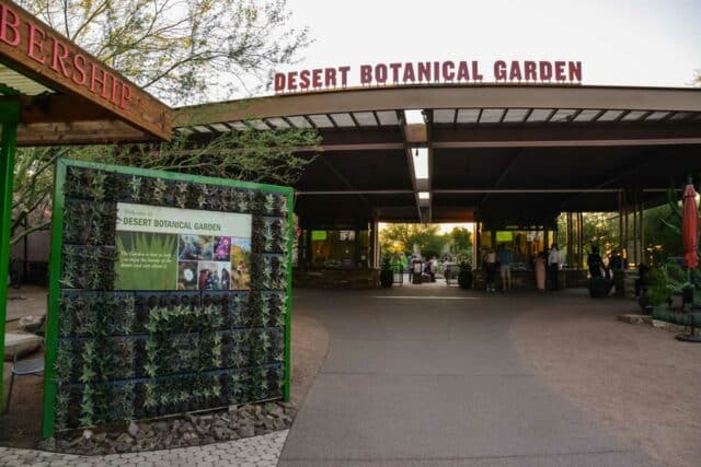 33 Best Things to Do in Phoenix — The Discoveries Of