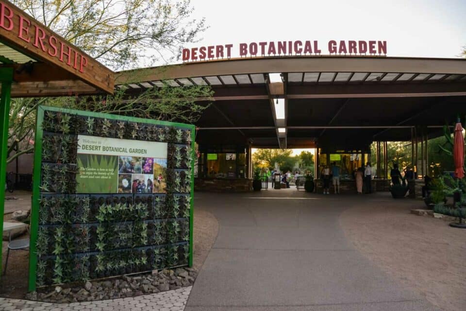 33 Best Things to Do in Phoenix — The Discoveries Of