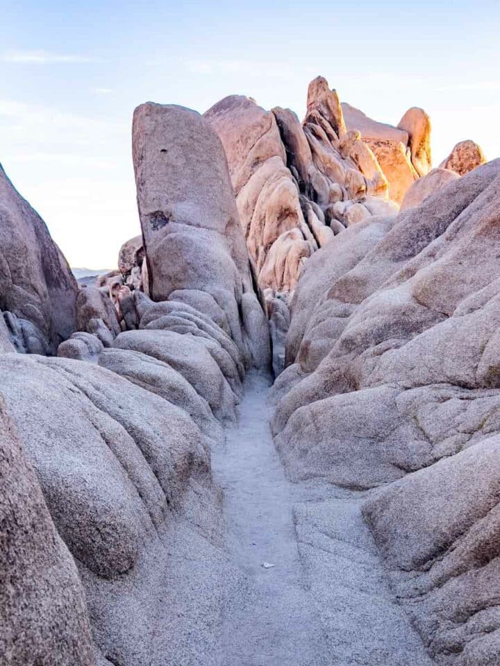 Arch Rock, Joshua Tree: Trail Guide — The Discoveries Of