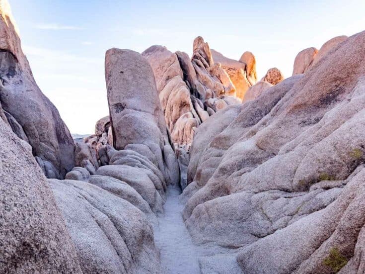 Arch Rock, Joshua Tree: Trail Guide — The Discoveries Of