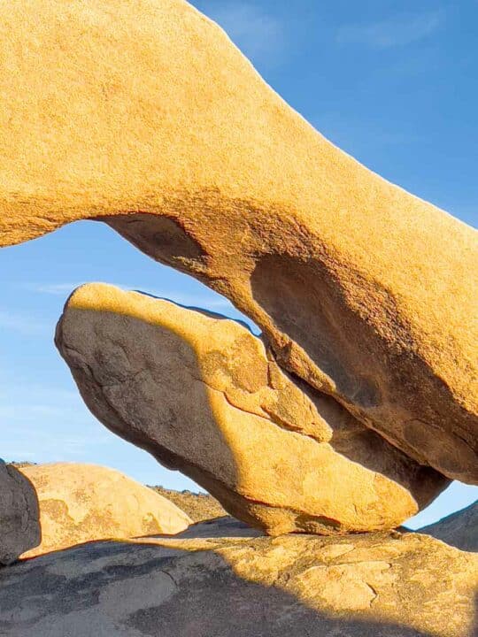 Arch Rock, Joshua Tree: Trail Guide — The Discoveries Of