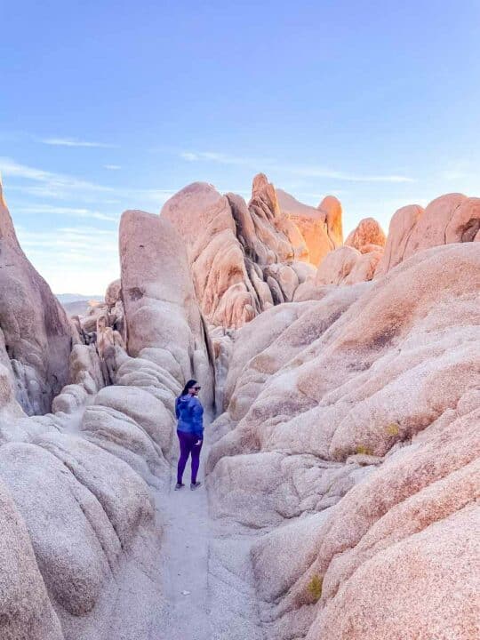 Arch Rock, Joshua Tree: Trail Guide — The Discoveries Of