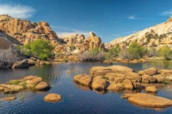 13 Best Things to do in Joshua Tree National Park — The Discoveries Of