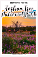 13 Best Things to do in Joshua Tree National Park — The Discoveries Of