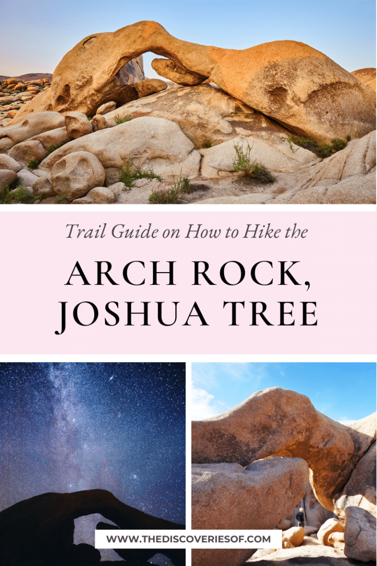 Arch Rock, Joshua Tree: Trail Guide — The Discoveries Of