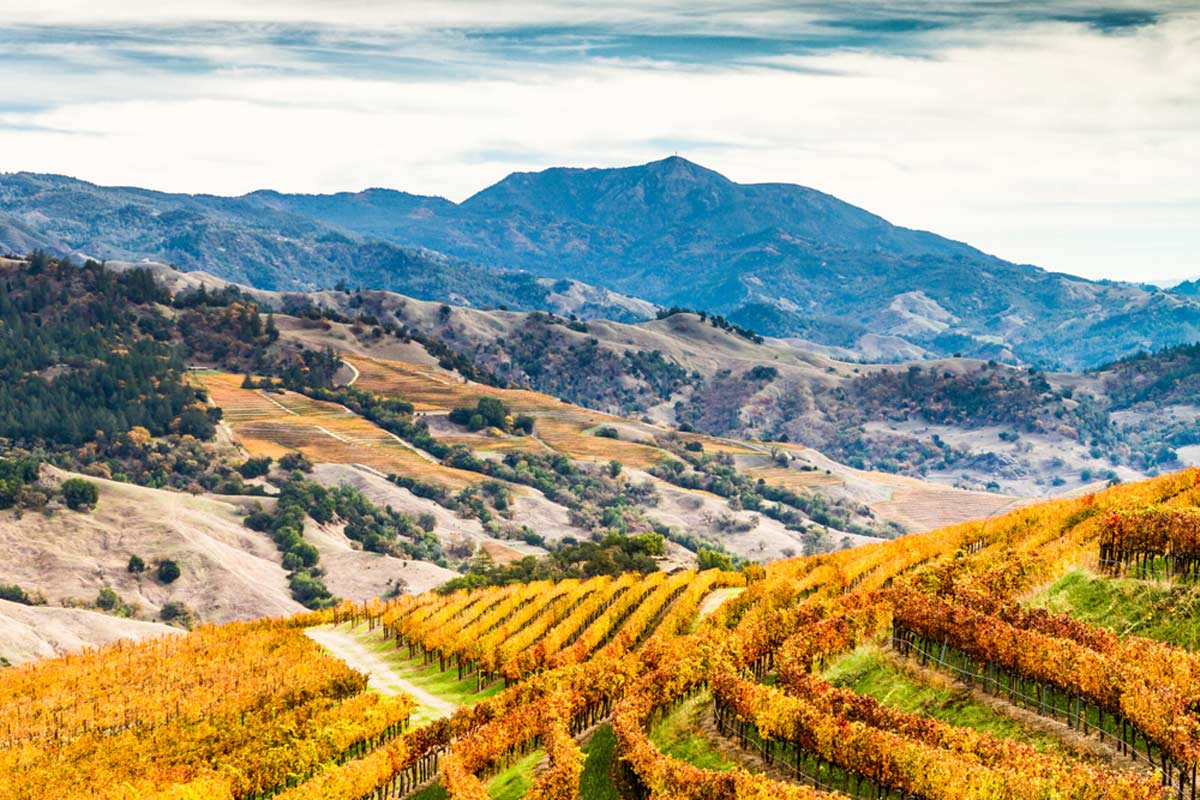 Brilliant Things To Do In Sonoma Valley The Discoveries Of