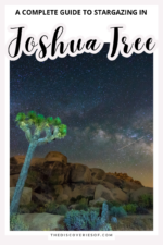 Stargazing in Joshua Tree: A Complete Guide — The Discoveries Of