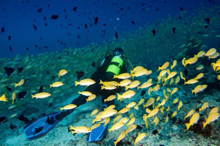The Best Things to Do in the Maldives — The Discoveries Of