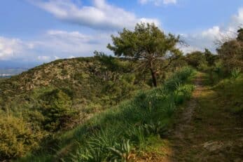 15 Incredible Hikes in Cyprus — The Discoveries Of