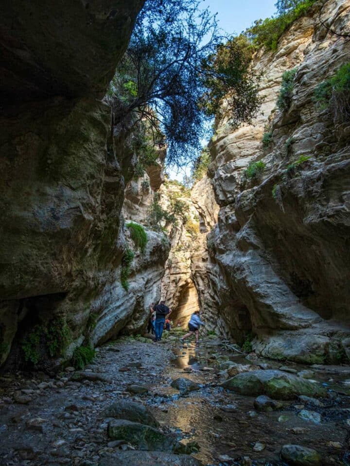 15 Incredible Hikes in Cyprus — The Discoveries Of