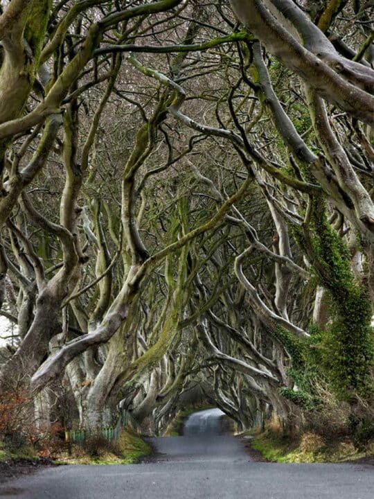 19 Best Things to do in Northern Ireland — The Discoveries Of