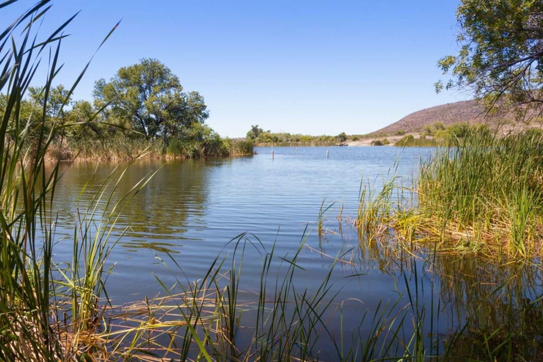 17 Brilliant Day Trips from Tucson — The Discoveries Of
