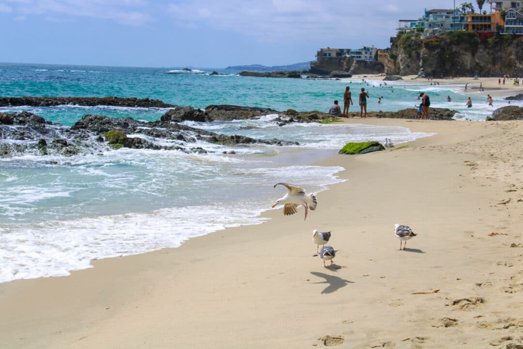 The Best Things to Do in Laguna Beach — The Discoveries Of