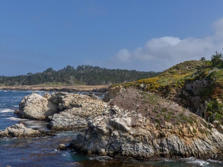 7 Stunning Hikes in Point Lobos — The Discoveries Of