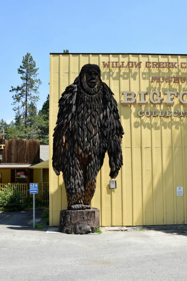 14 Best Things to Do in Redwood National Park — The Discoveries Of