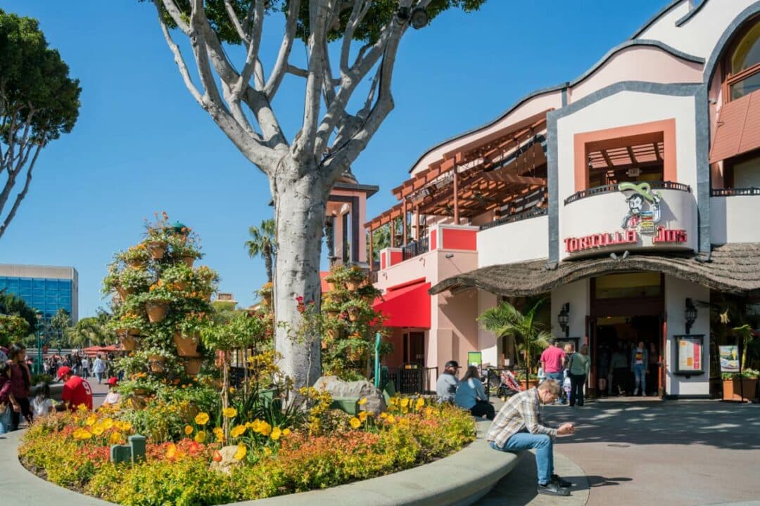 The Best Things to Do in Laguna Beach — The Discoveries Of