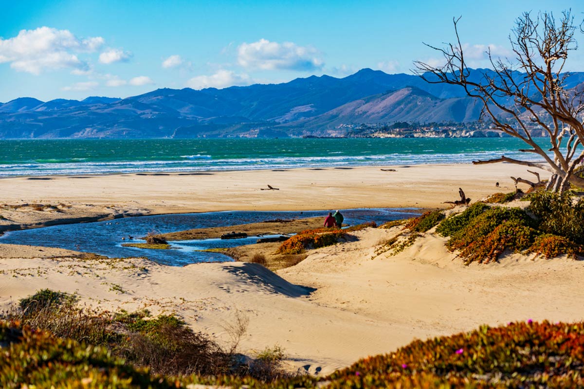Pismo Beach Camping Guide — The Discoveries Of