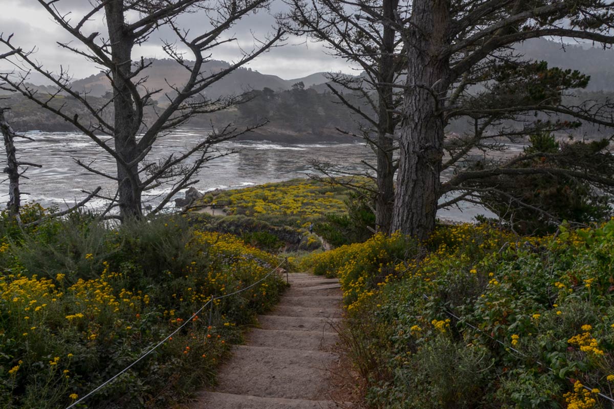 7 Stunning Hikes in Point Lobos — The Discoveries Of