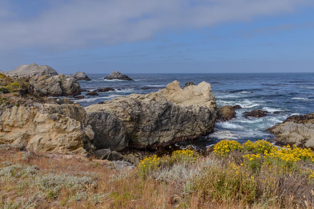7 Stunning Hikes in Point Lobos — The Discoveries Of