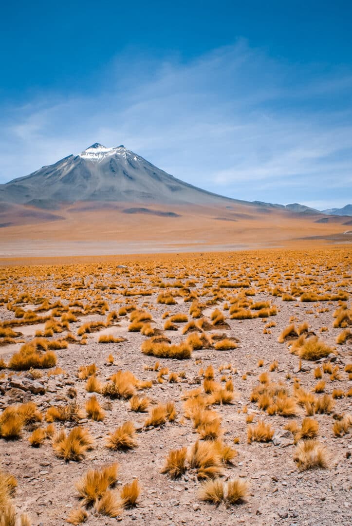 17 Interesting Facts About the Atacama Desert